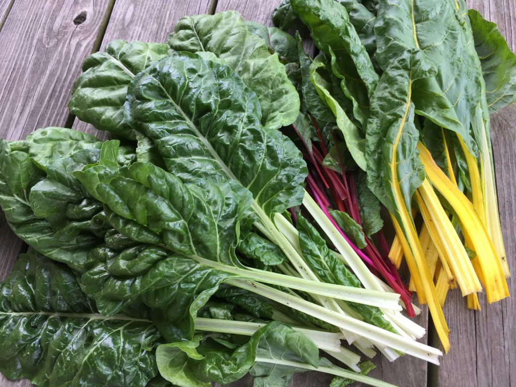Rainbow Swiss Chard | White Harvest Seed Company